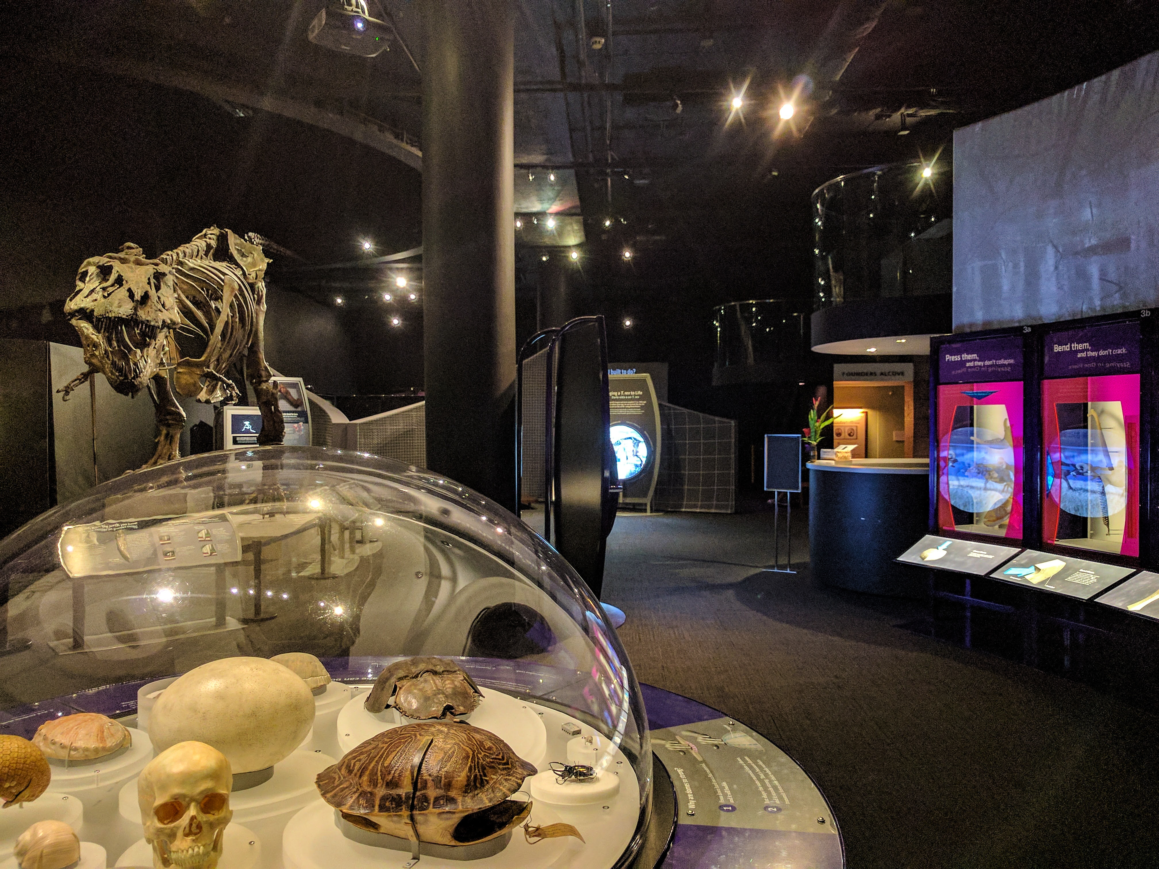 Where Can You See Lava, Visit a Planetarium, and View Hawaiian ...